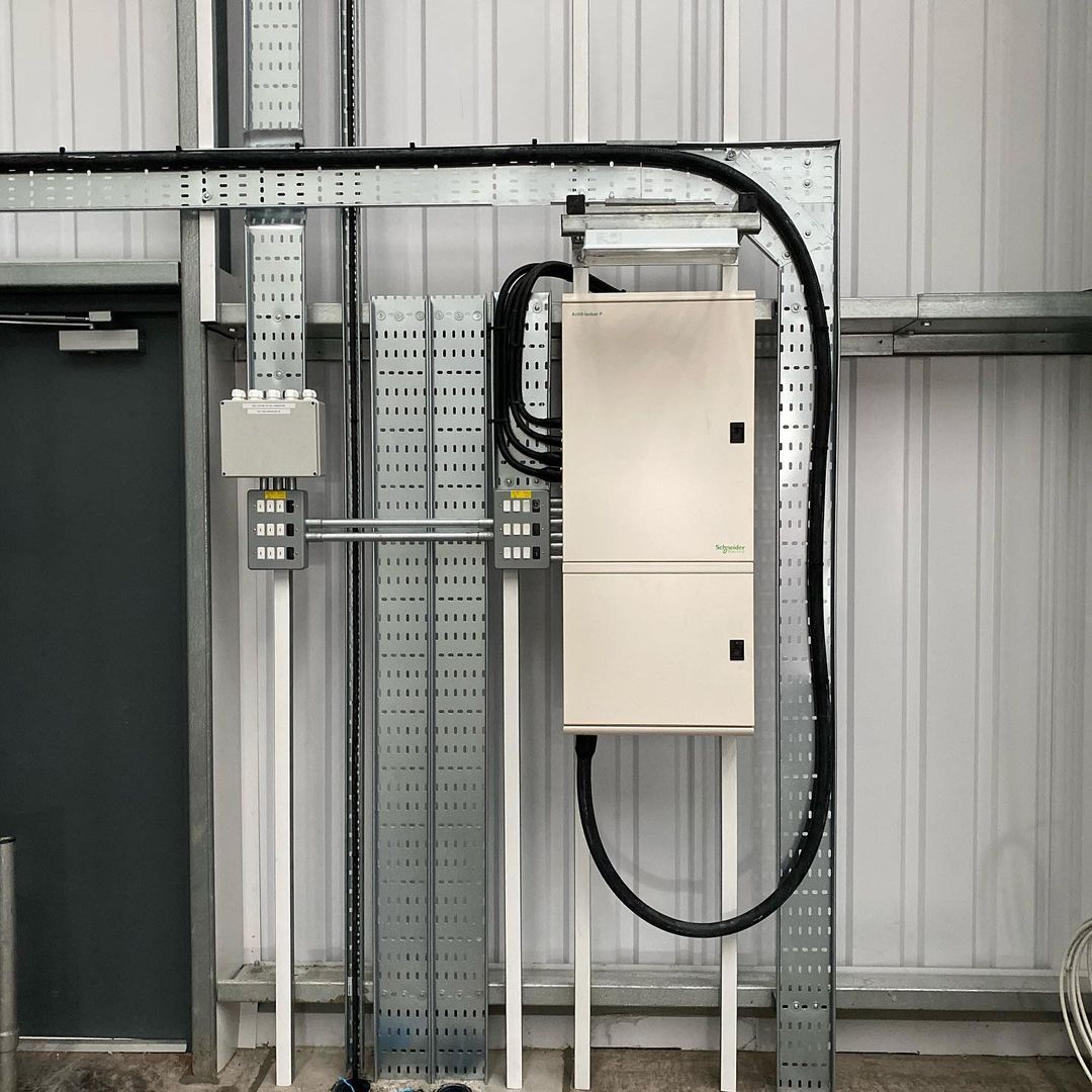 Young Square Certified Electrician